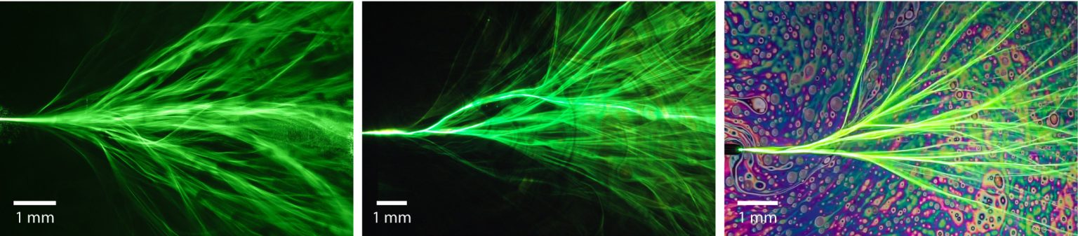 Professor Miguel Bandres publishes paper “Observation of branched flow ... Professor Miguel Bandres publishes paper “Observation of branched flow ...